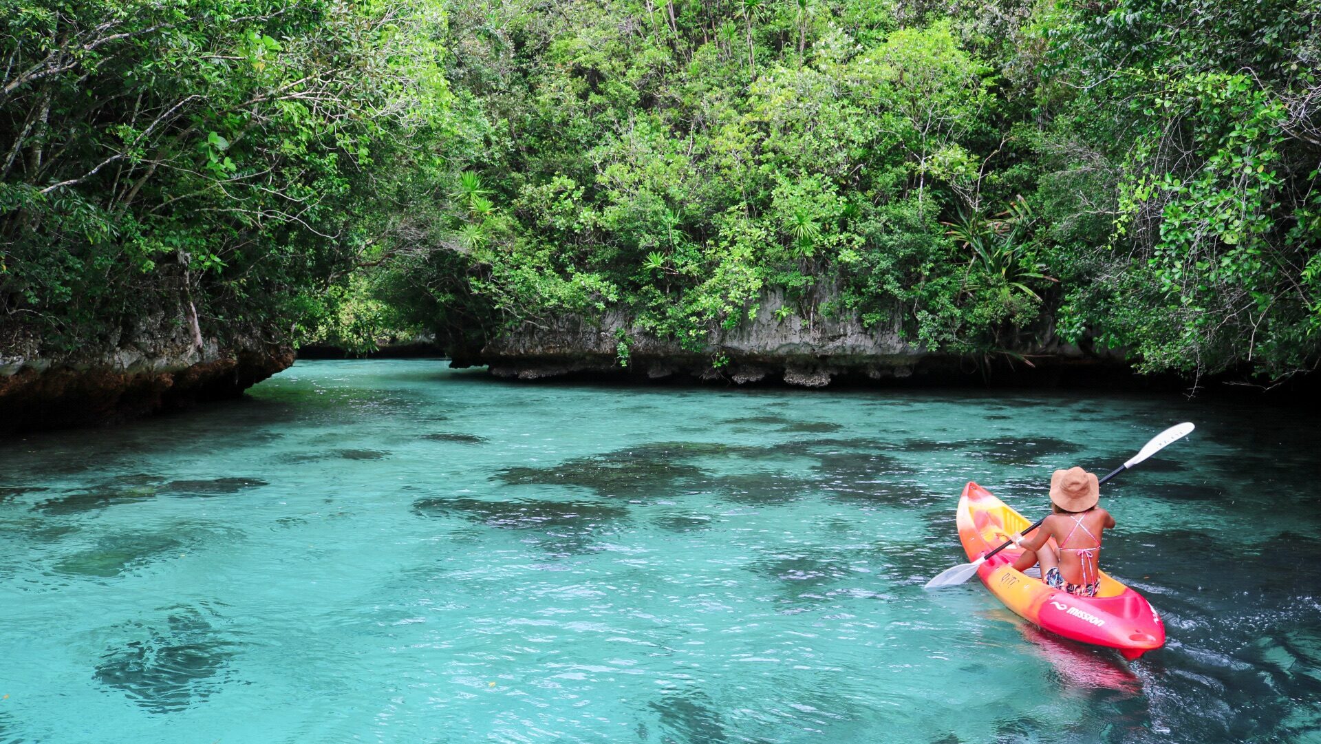 【AM】Half-Day Kayak Tour | Rock Islad Tour Company (RITC)